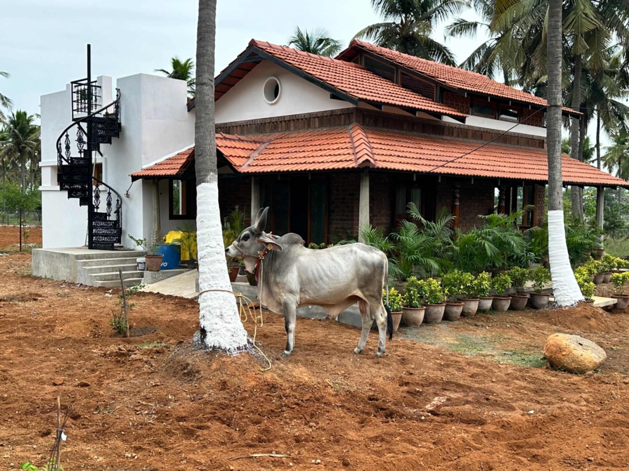 Farmhouse near chennai – Paalaar Urban Farms